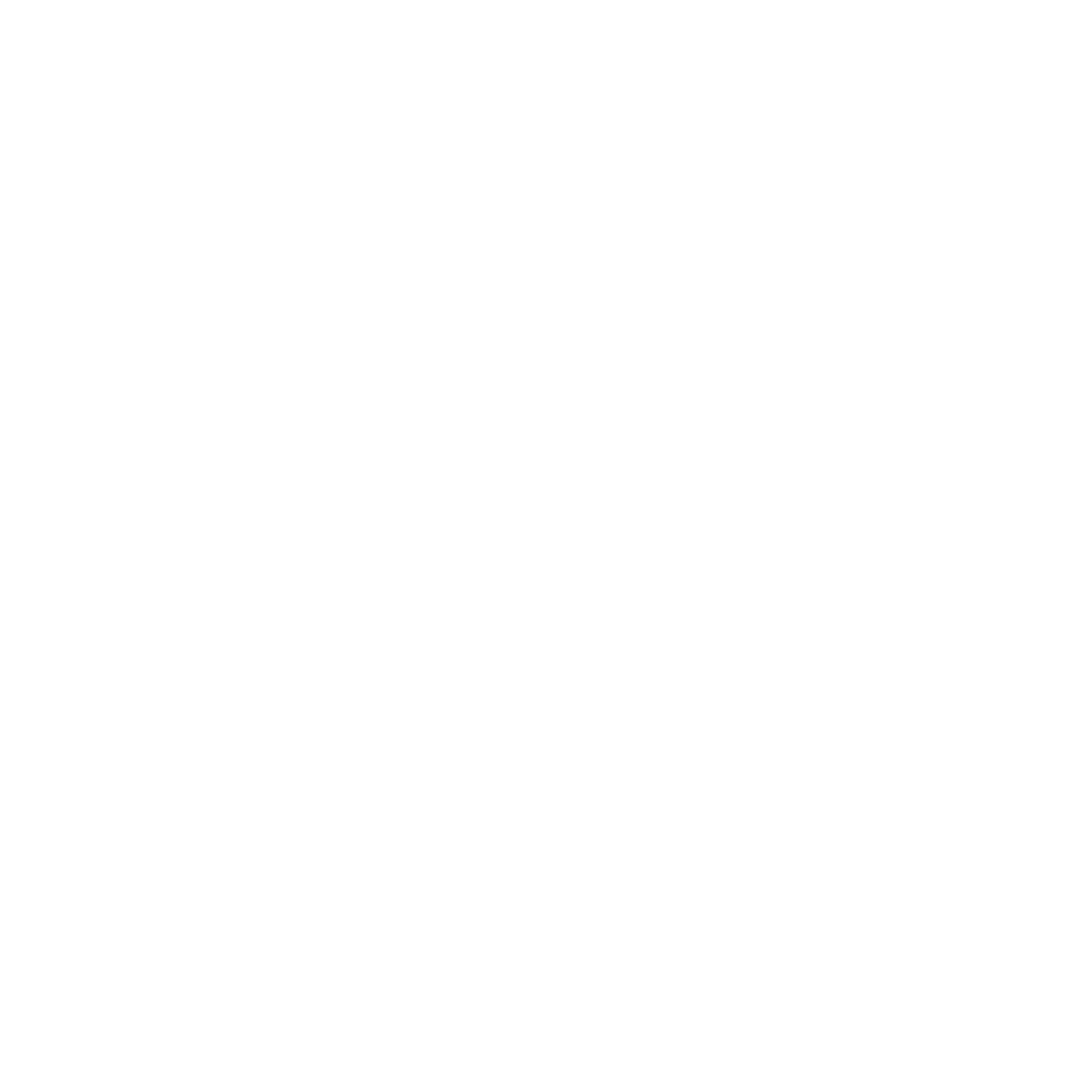 The Conference - MUNISS